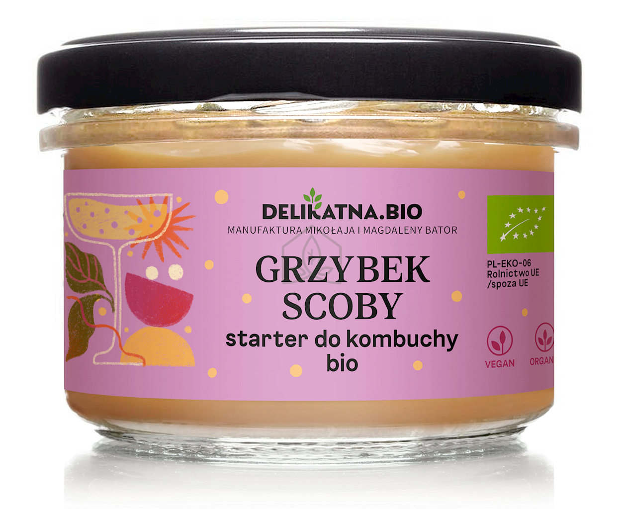 Grzybek Scoby Starter do Kombuchy BIO 150 g Delikatna